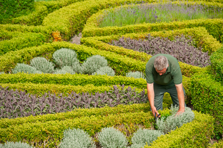 Tours with Head Gardener | North Wales | Bodysgallen Hall